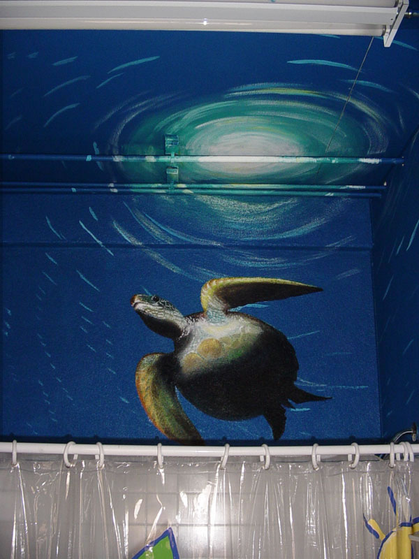 Storied Walls - Ocean and Seaside Murals Gallery